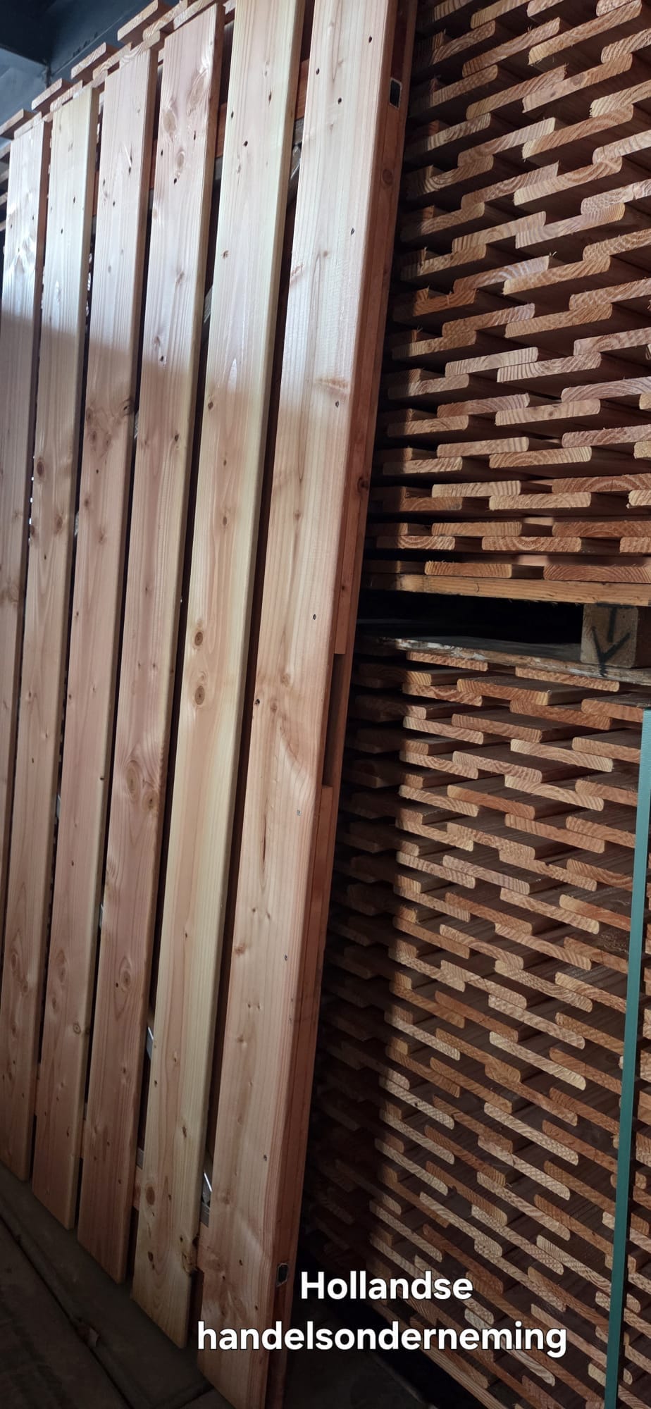 douglas poort met stalen frame